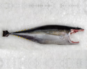 16 Cuts of Fish to Understand for Beginner - HotelTalk - For Hoteliers ...